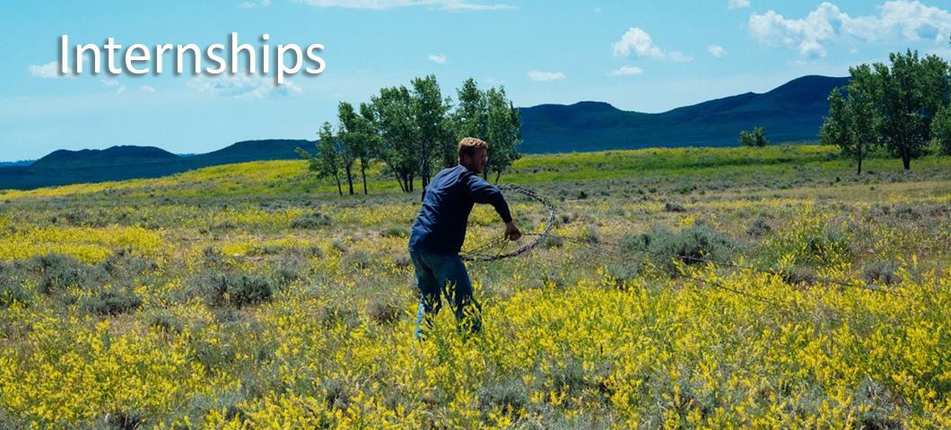 Dan Scott Ranch Management Program - Dan Scott Ranch Management ...