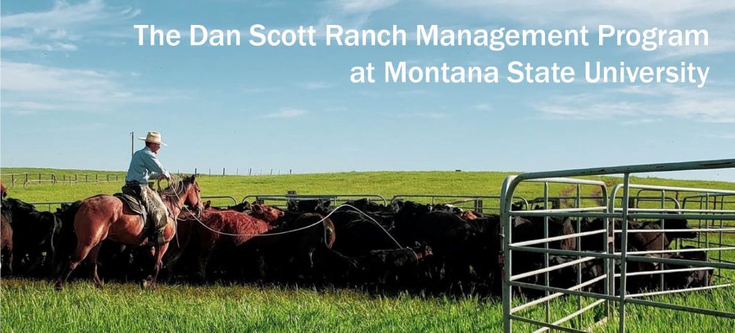 Dan Scott Ranch Management Program - Dan Scott Ranch Management ...
