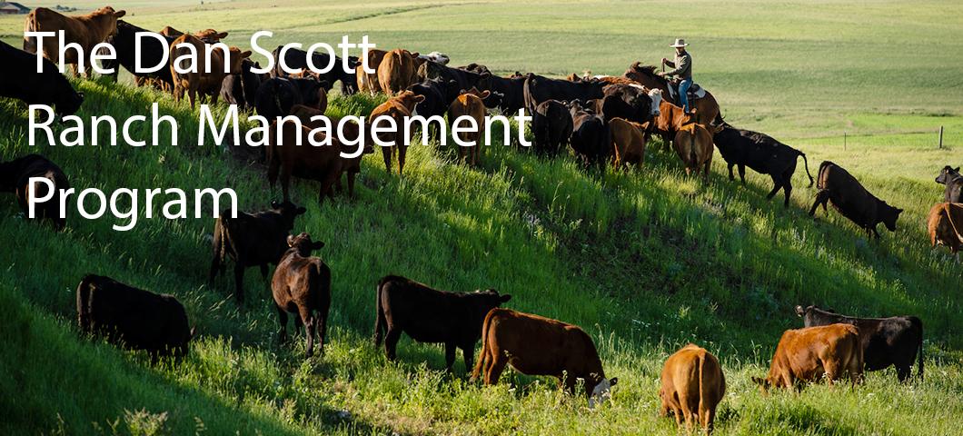 Department of Animal & Range Sciences - Montana State University ...