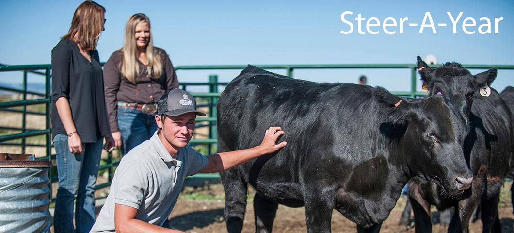 Department of Animal & Range Sciences - Montana State University ...