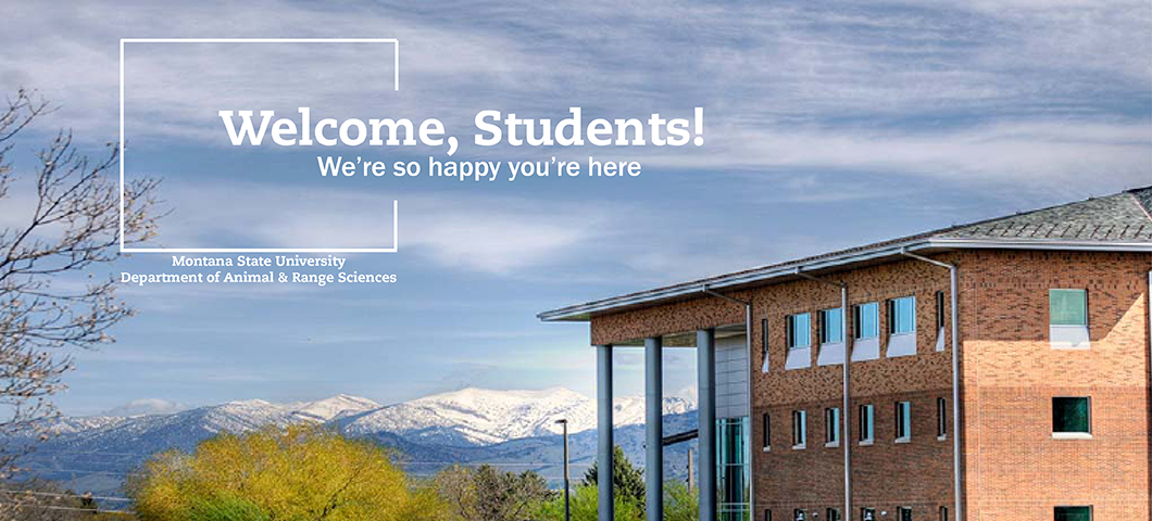 Department of Animal & Range Sciences - Montana State University ...